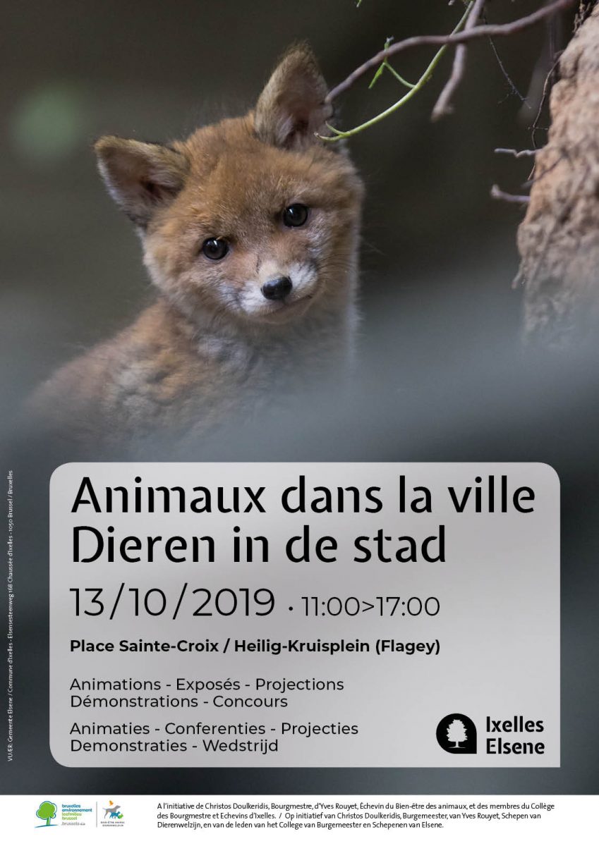 "Animaux dans la ville", c'est ce dimanche 13/10 ! - Veeweyde