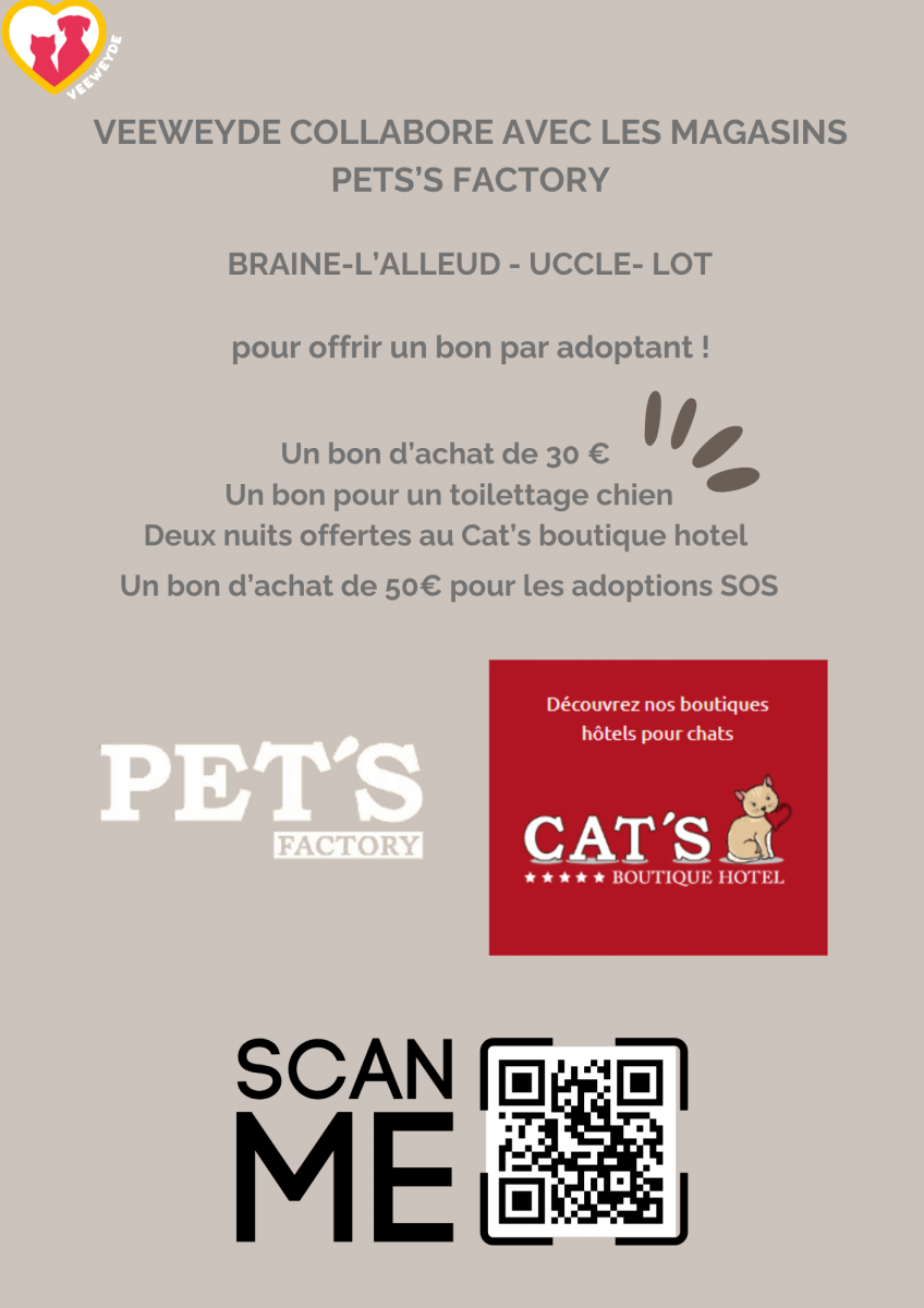 Pet's Factory : le partenariat qui gâte les adoptants - Veeweyde